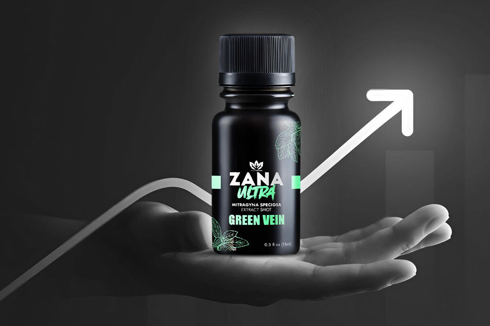 Why Kava Is the Key to Jitter-Free, Natural Focus | Zana herbal Blogs